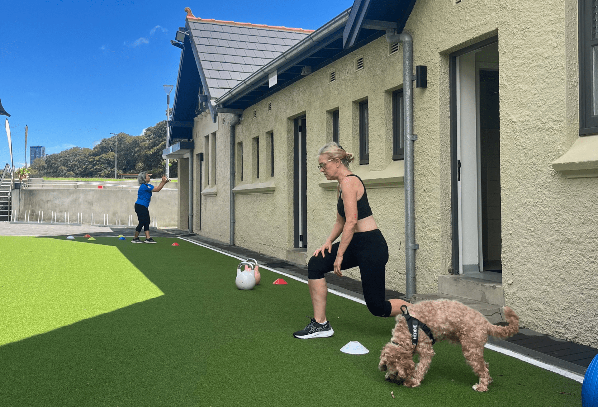 Buy an Osteofit 10 pack and enjoy a FREE 60-minute consultation